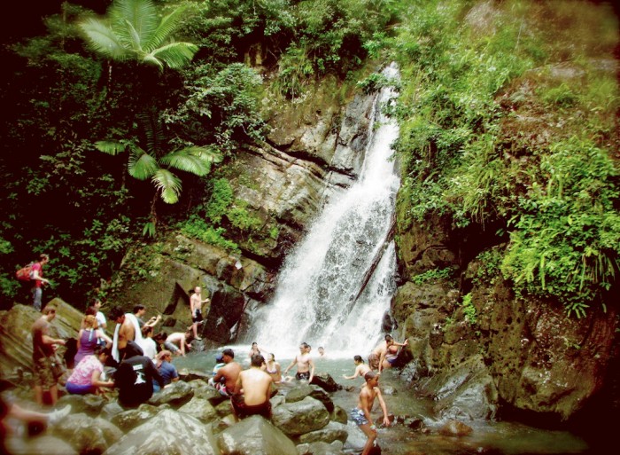 Pasar el día en el Bosque Nacional El Yunque | Iberia Joven